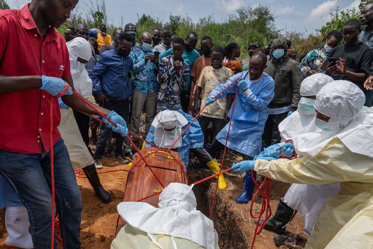 O médico alertou sobre o aumento dos casos de febre Ebola e indicou ...