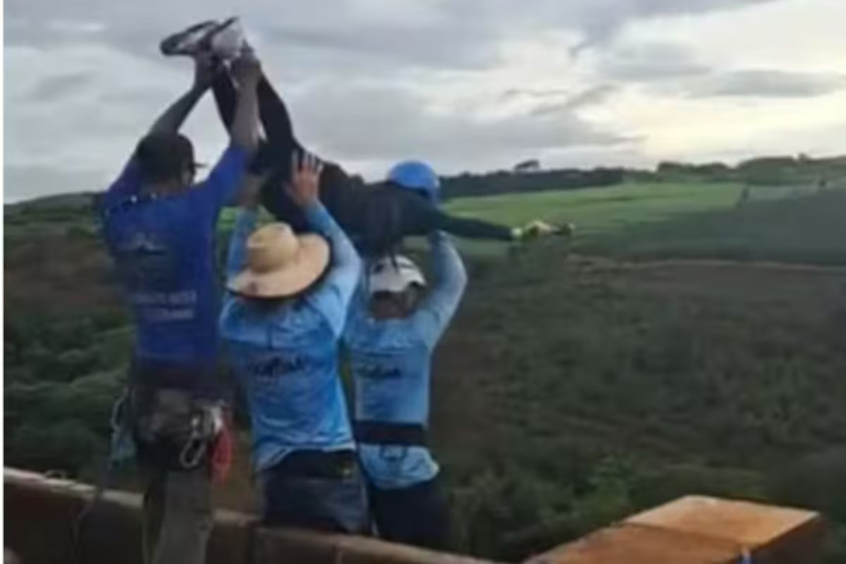 Uma menina de 21 anos morreu enquanto praticava bungee jumping sem ...